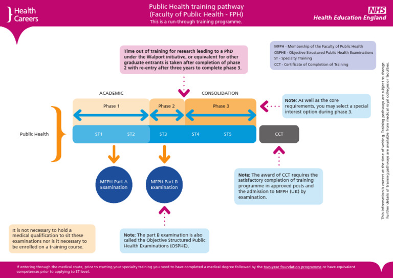 Public Health - Training Pathway | PDF | Vocational Education ...