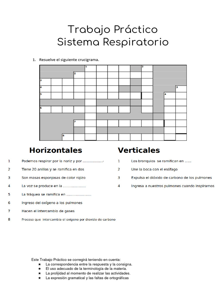Actividades sobre el Sistema Respiratorio | PDF