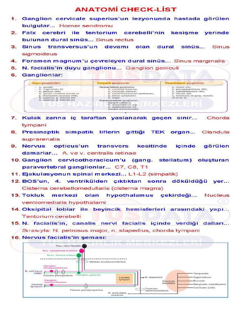 Anatomi Check-list | PDF