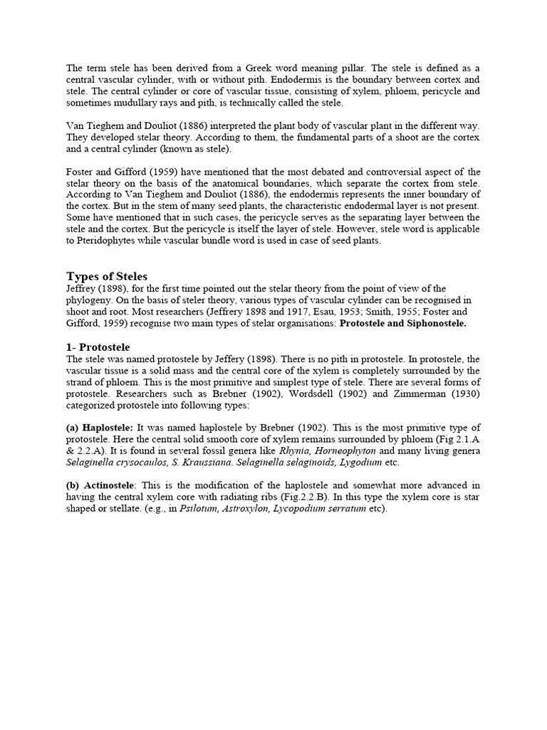 Stele | PDF | Plants | Branches Of Botany