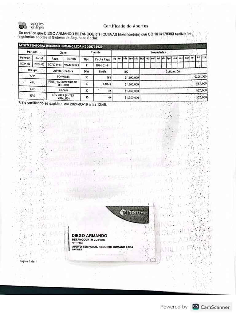 Planilla Y ARL | PDF