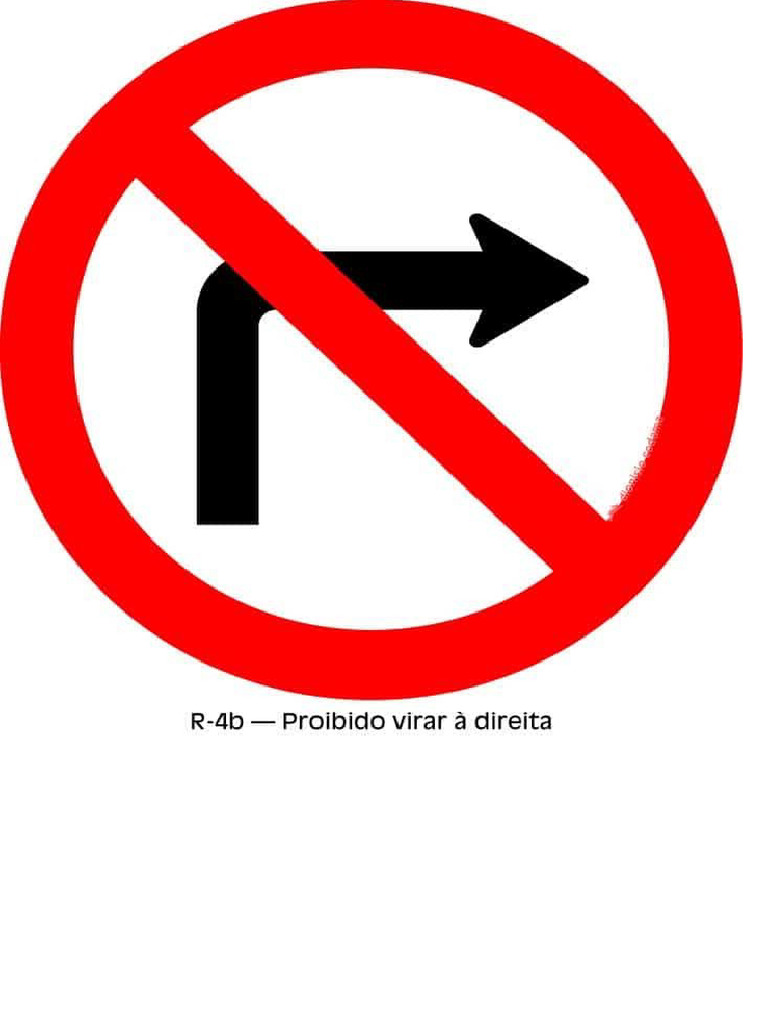 PLACAS DE TRANSITO | PDF