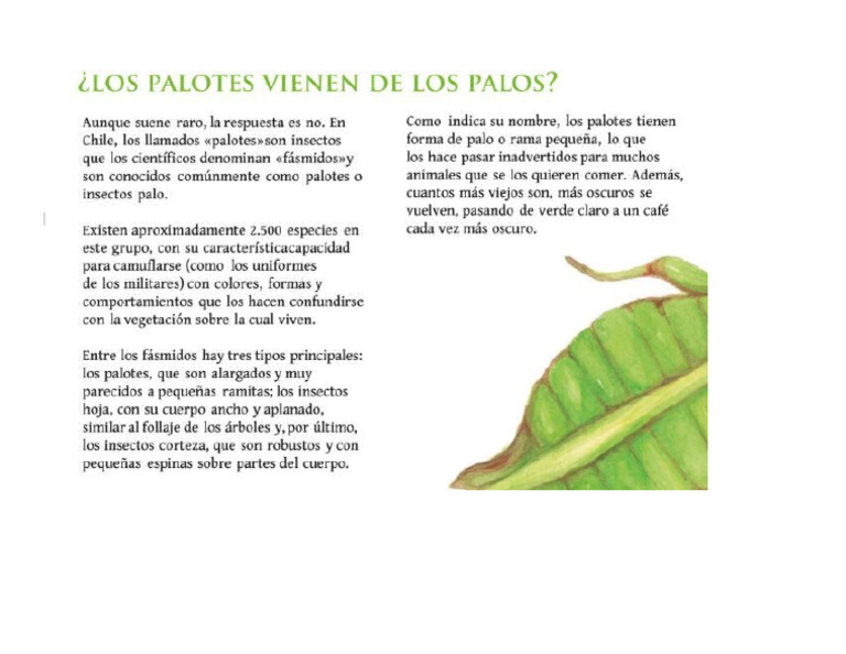 Texto 4LOs Palotes Vieven de Los Palos | PDF