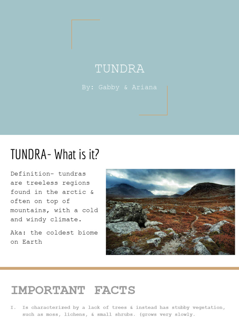 TUNDRA | PDF | Earth Sciences | Physical Geography