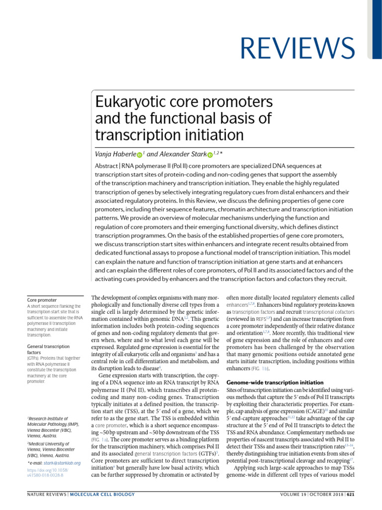 Eukaryotic Core Promoters and The Functional Basis of Transcription ...