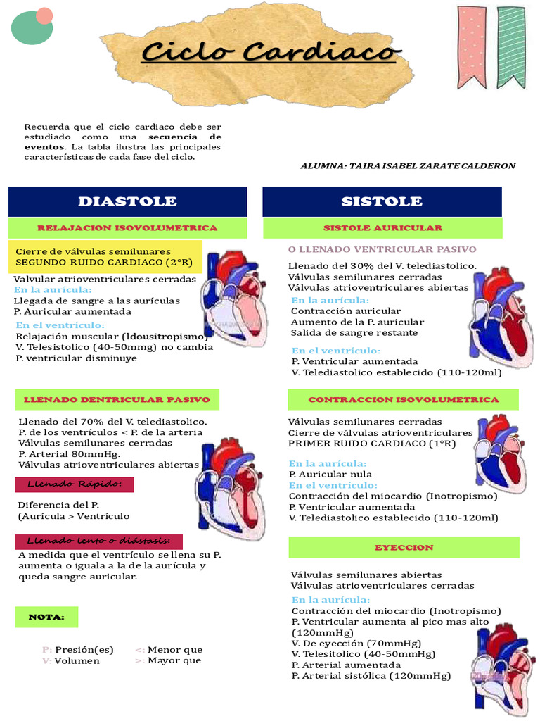 Ciclo Cardíaco: Fases y Eventos | PDF | Corazón | Ventrículo (corazón)