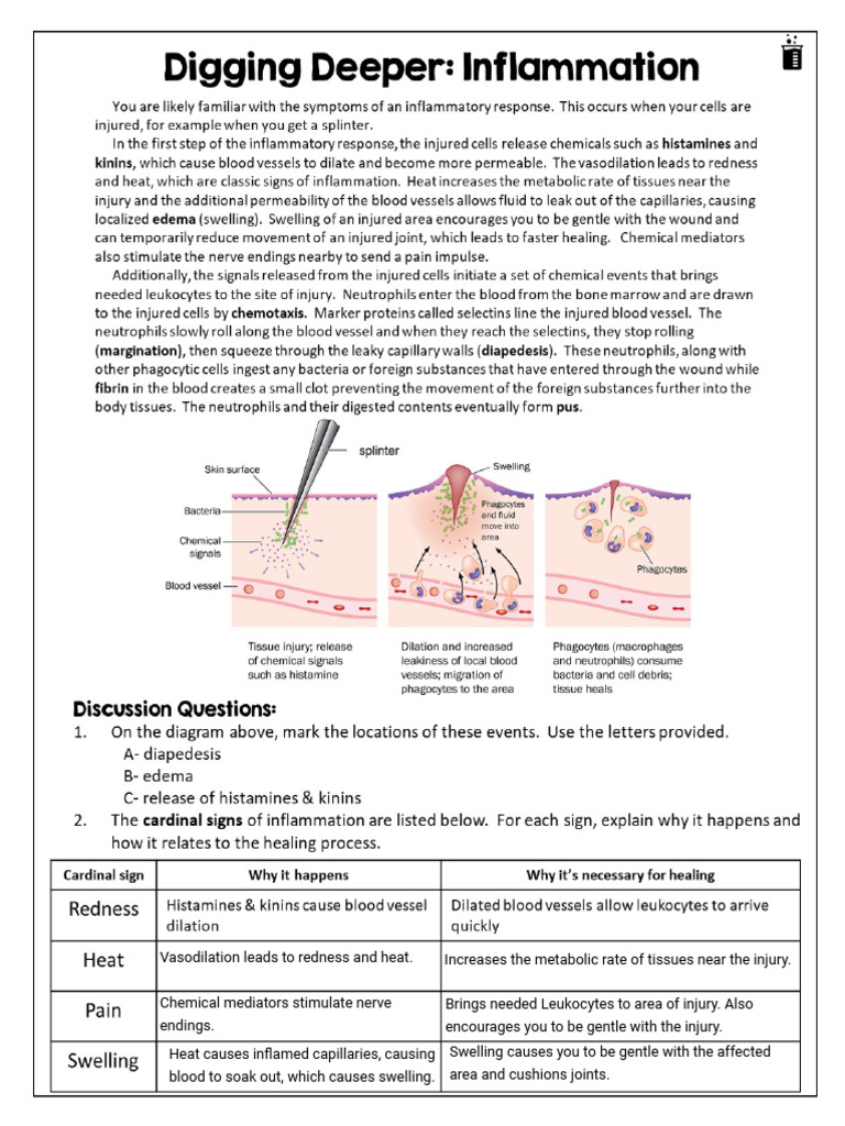 Kami Export - ANDREW SOTO - Digging Deeper - Inflammation | PDF