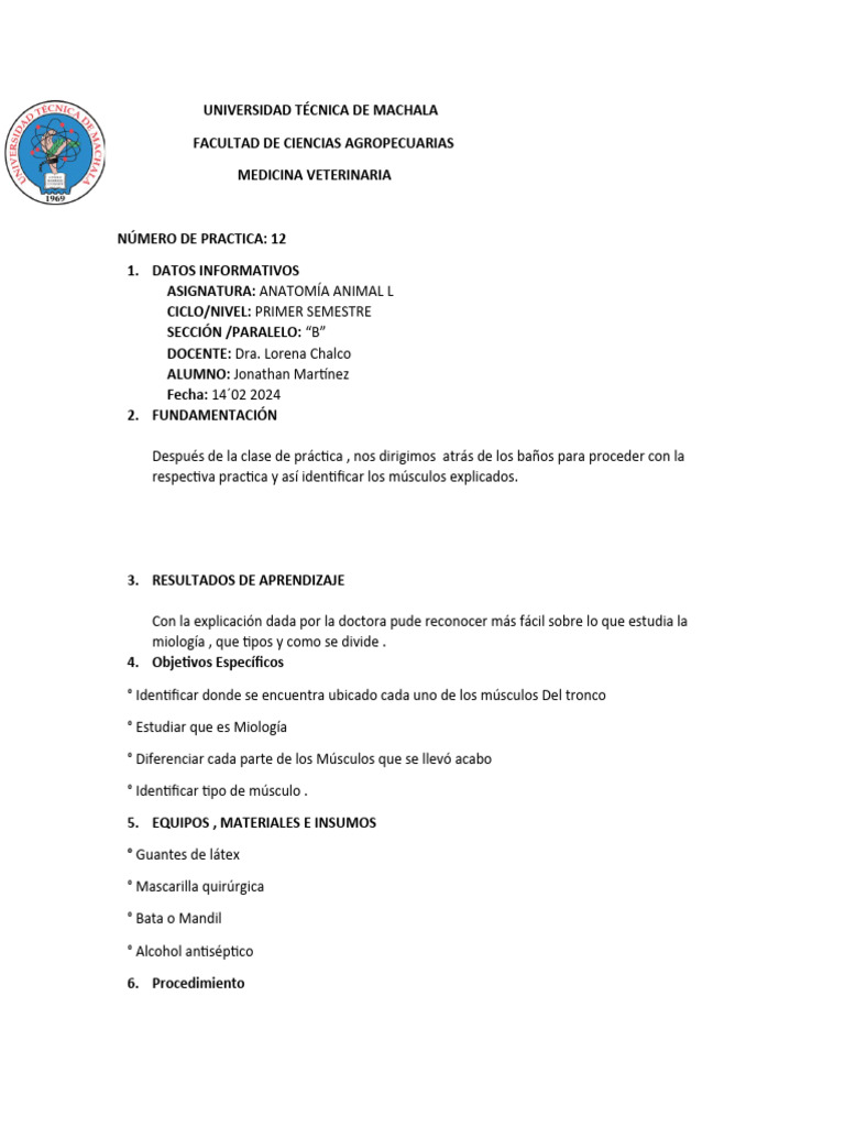 Informes Anatomia 12 SEGUNDO HEMI | PDF