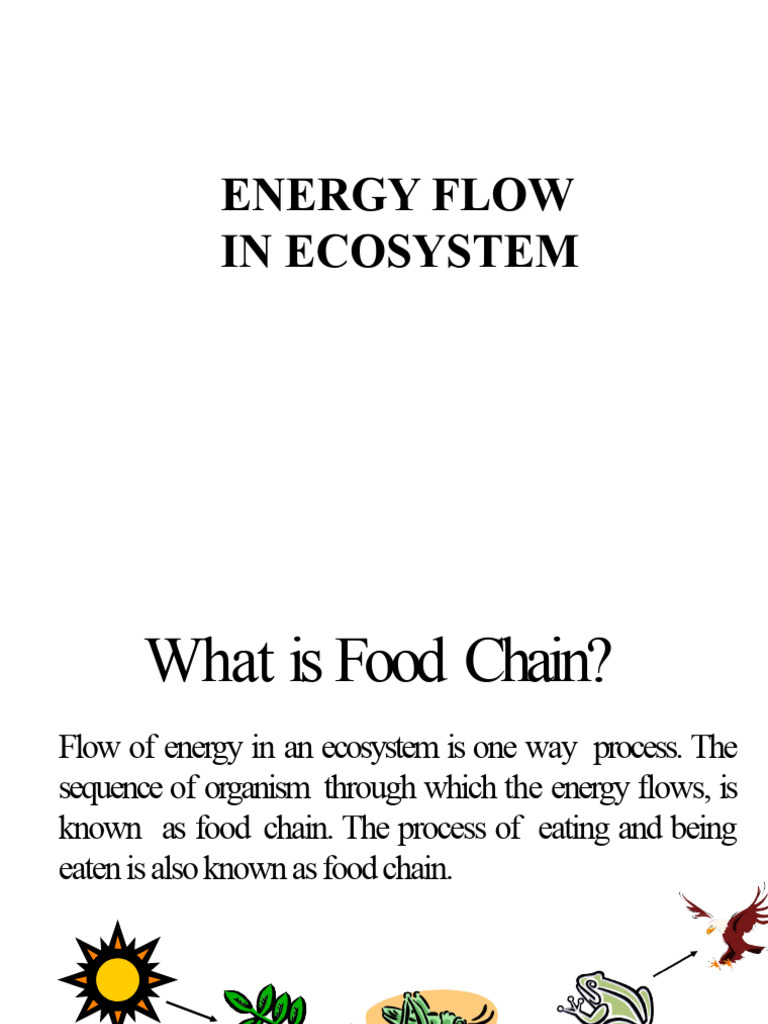 4 UNIT1 - Env - Eco | PDF | Food Web | Sustainability