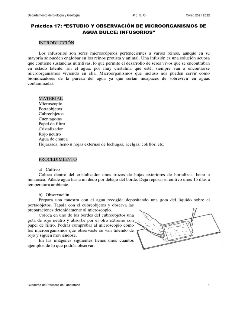 Práctica 17 - Microorganismos de Agua Dulce | PDF | Agua | Microorganismo
