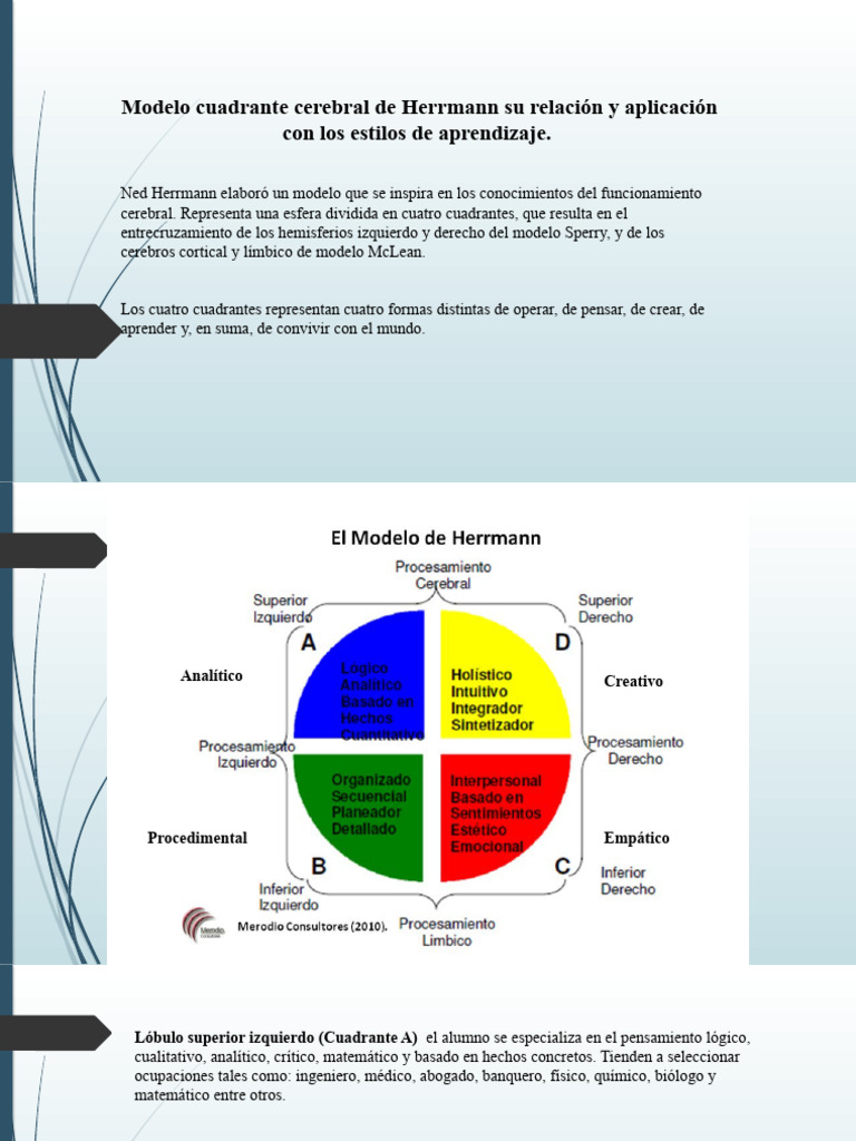 Modelo de Cuadrantes Cerebrales de Herrmann | PDF | Cerebro | Pensamiento