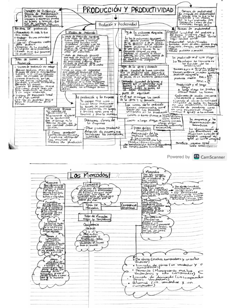 Mapa Conceptual de Tipos de Mercados, Producción y Productividad. | PDF
