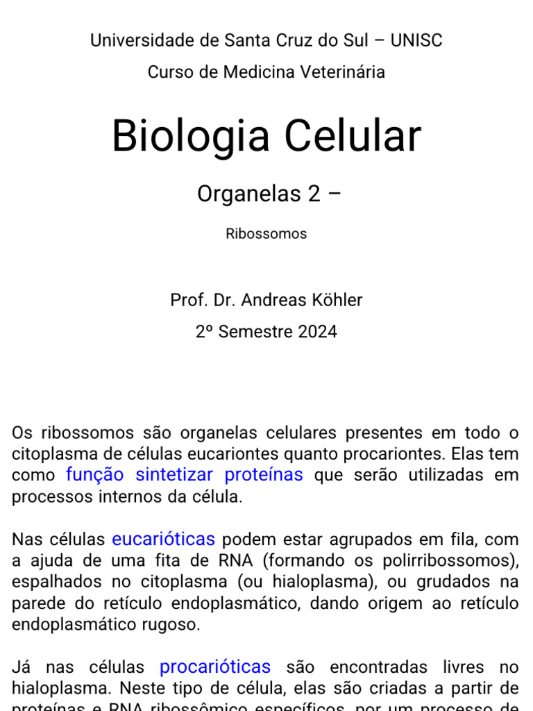 2024 Biologia Celular VET Aula 6 Ribo | PDF | Ribossomo | Célula (Biologia)