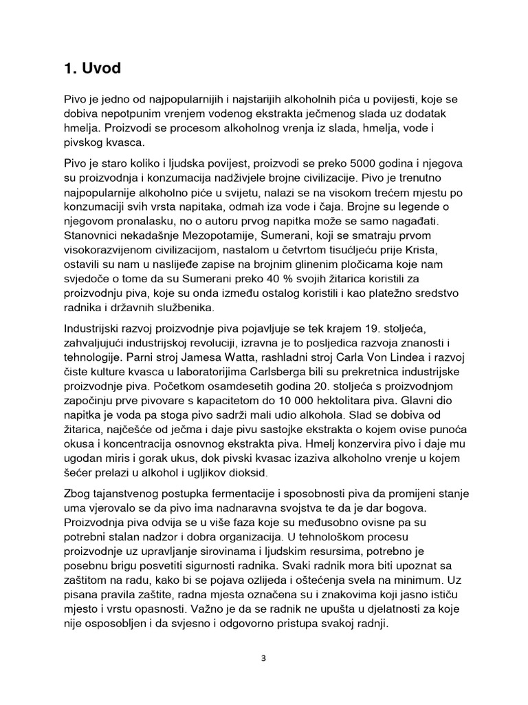 Kadic Nejra - Maturski | PDF