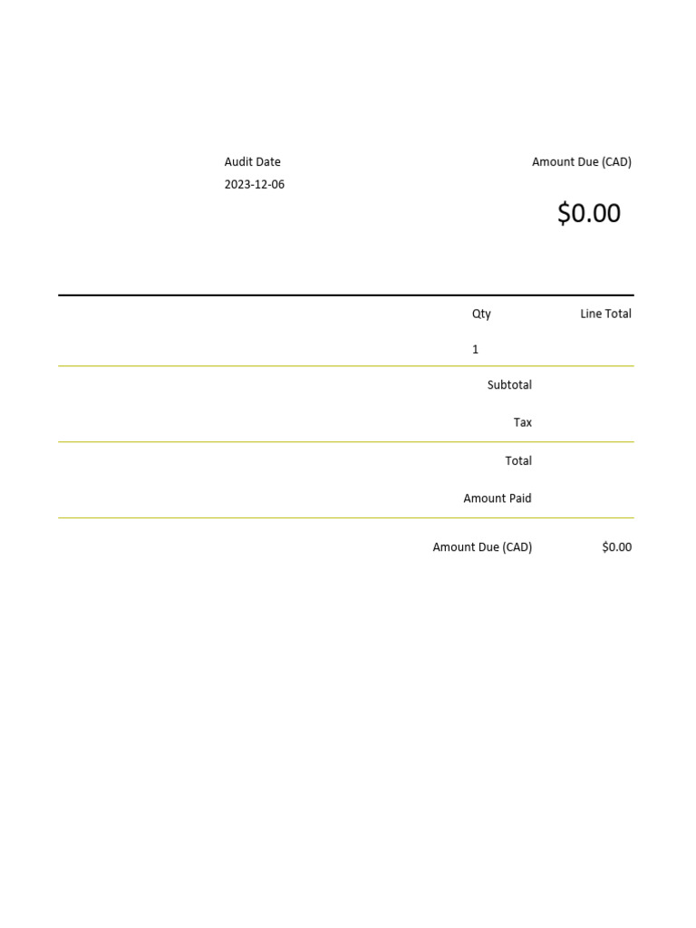 Audit Invoice 1 | PDF