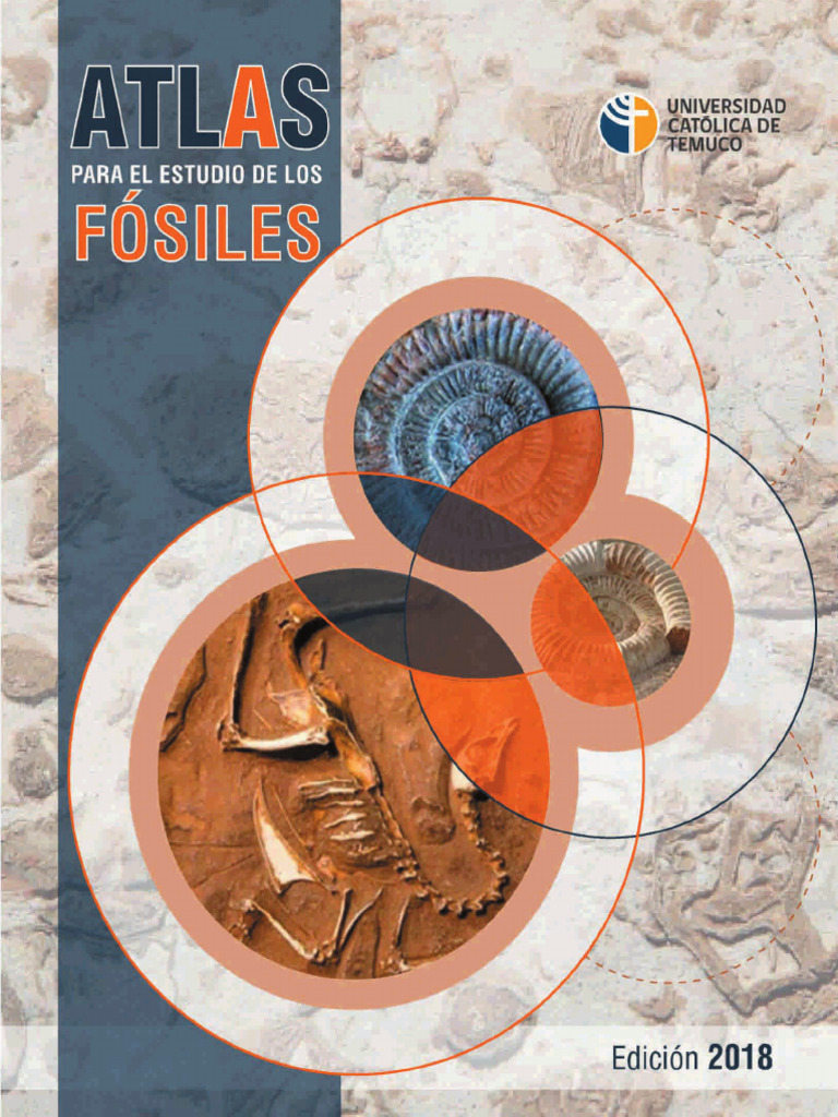 Atlas Fosiles Digital OK | PDF