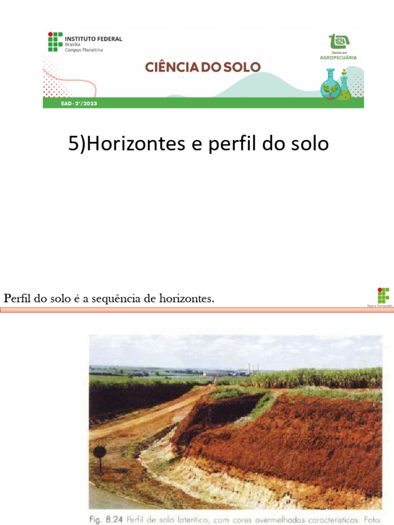 4- Ordens de solos brasileiros Slides de aula 4 [Ciência do solo] | PDF | Solo | Geociências