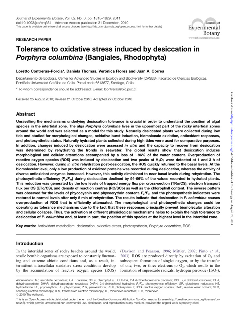 Tolerance to Oxidative Stress Induced by Desiccation in Porphyra ...