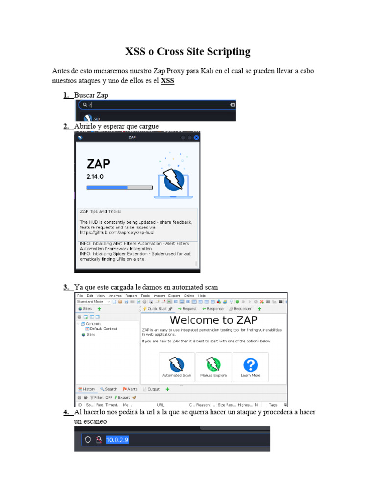 XSS o Cross Site Scripting | PDF