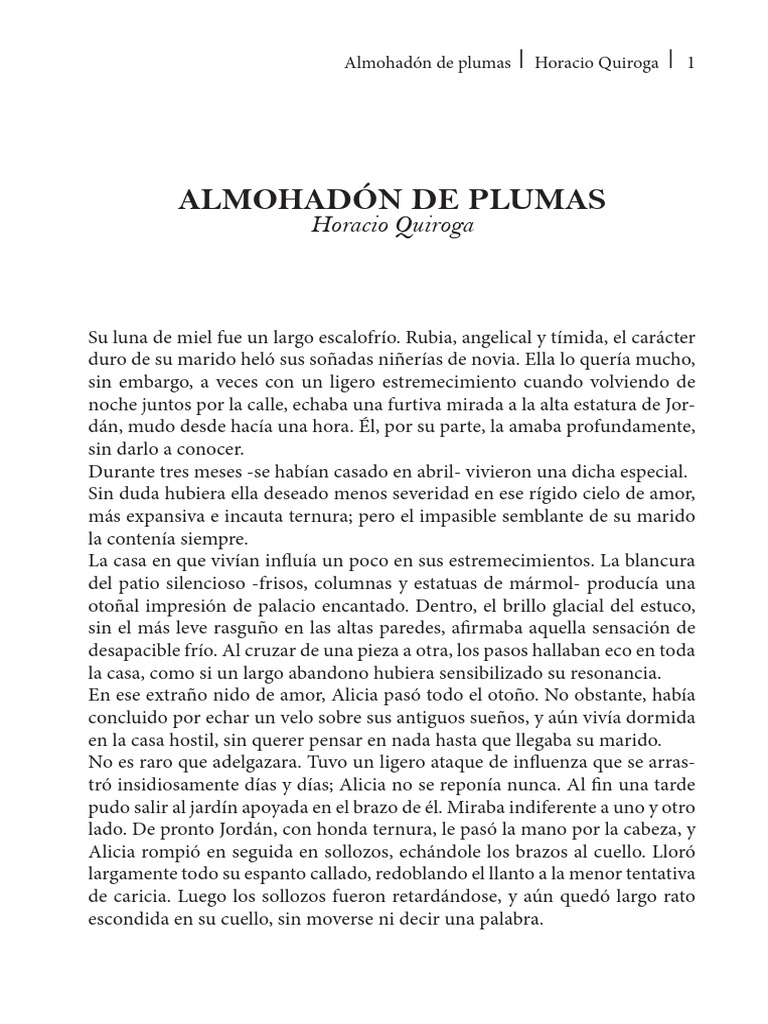 Almohadon de plumas | PDF