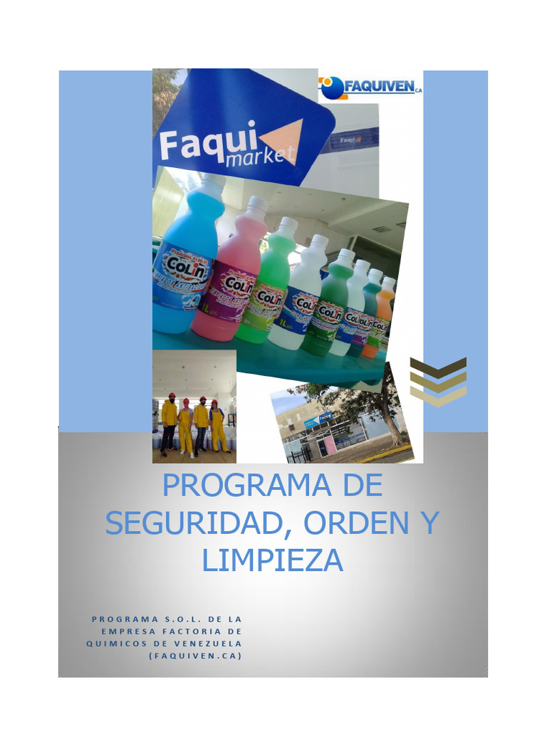 Nuevo Programa Sol Faquivenca | PDF | Business | Valores