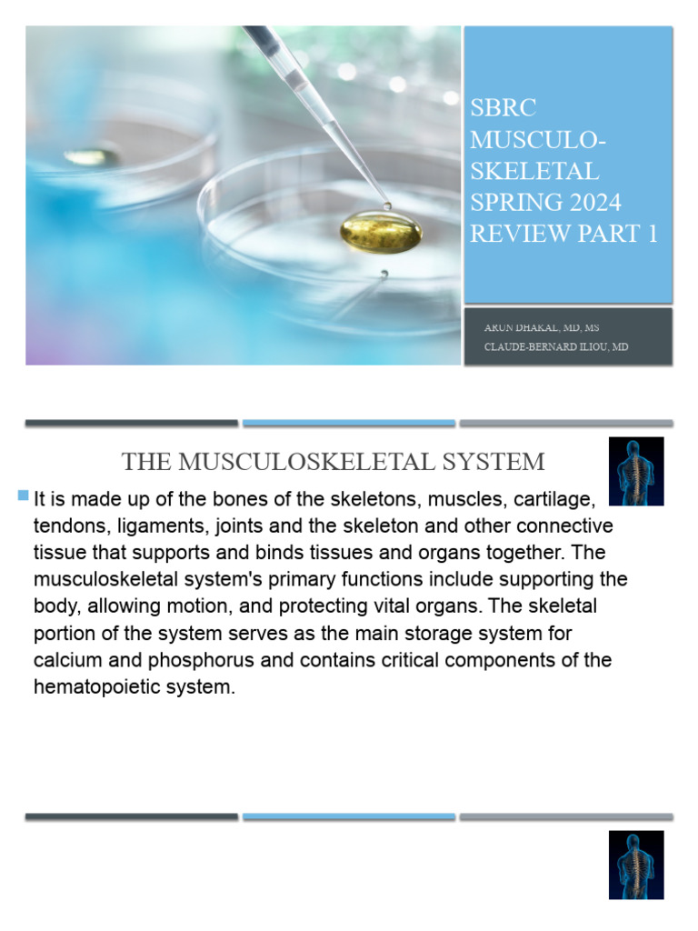 29.-31. SBRC MSK Summary | PDF | Bone | Muscle Contraction