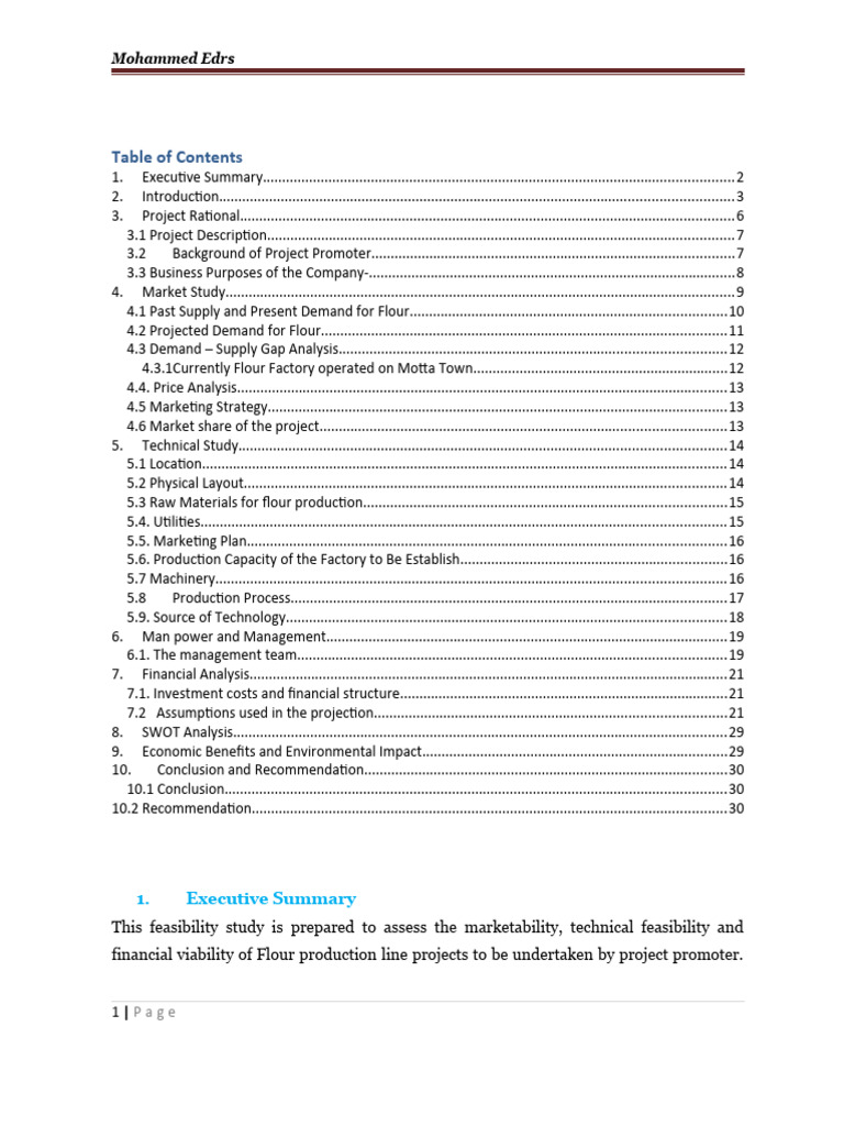 Moammed - Doc Feasibility Study EDITED | PDF | Feasibility Study ...