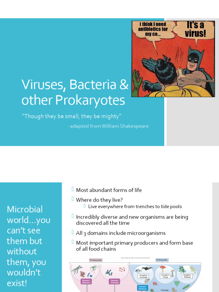 Lec 11 - Viruses and Bacteria | PDF | Virus | Cell (Biology)