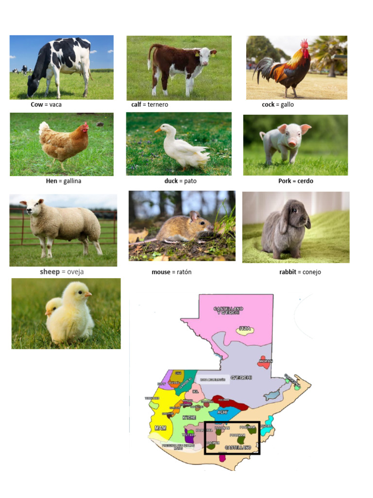 Pueblo Poqoman | PDF