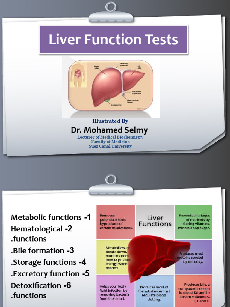 Bio Section - Liver Function Tests | PDF | Liver | Medical Specialties