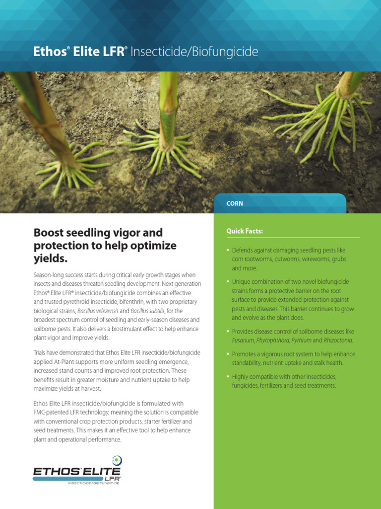 23-FMC-2424 Ethos Elite Corn Fact Sheet 103023 VF | PDF | Fungicide ...