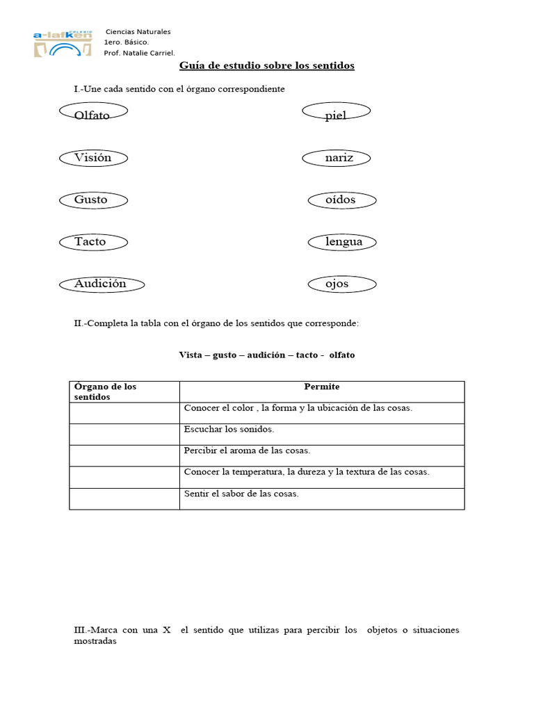 Guía de Estudio de Los Sentidos . | PDF | Sentidos | Gusto
