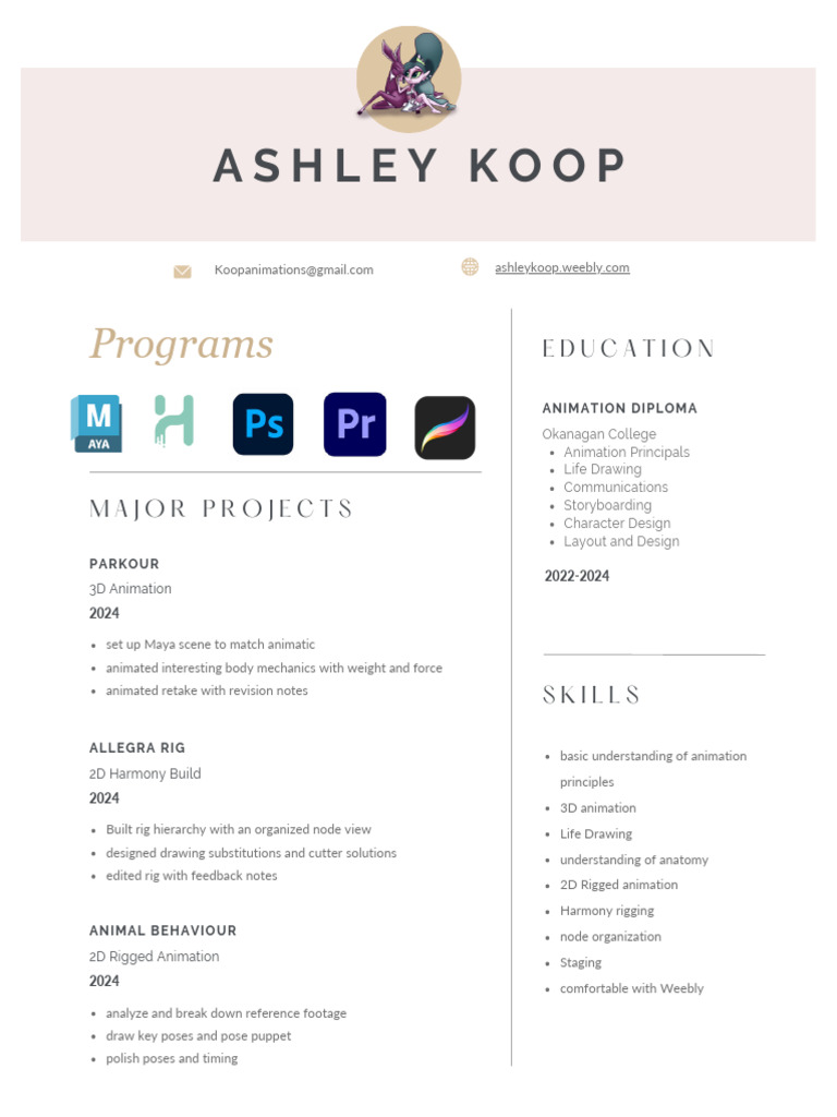 Website Resume | PDF