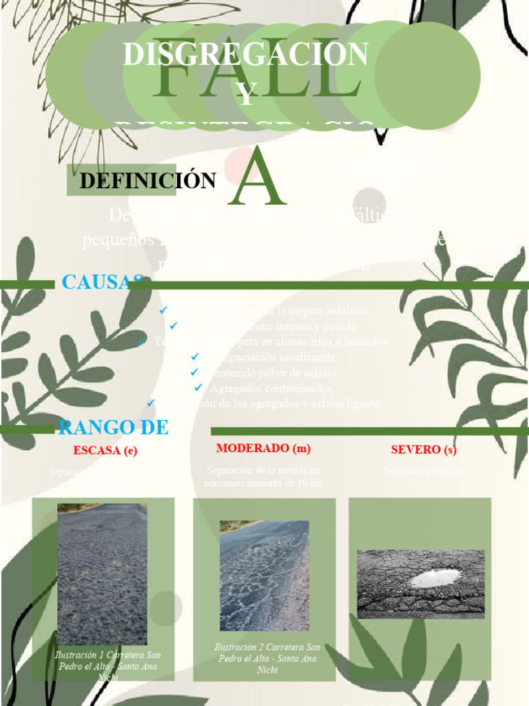 DISGREGACION Y DESINTEGRACION | PDF