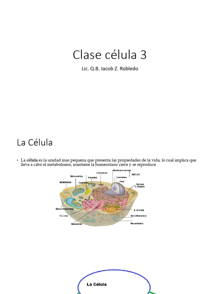 47296338-Repaso C Lula | PDF | Biología Celular) | Citoplasma
