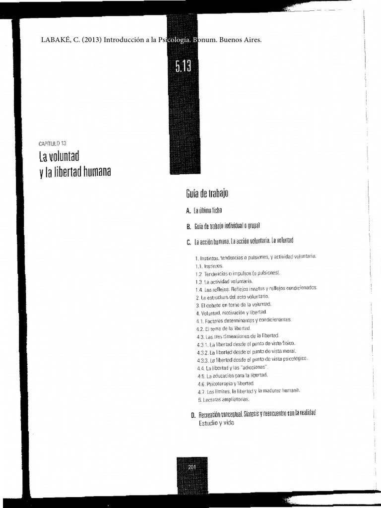 Labake. Voluntad | PDF