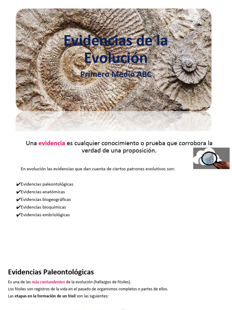 Evidencias de La Evolución | PDF | Evolución | Organismos