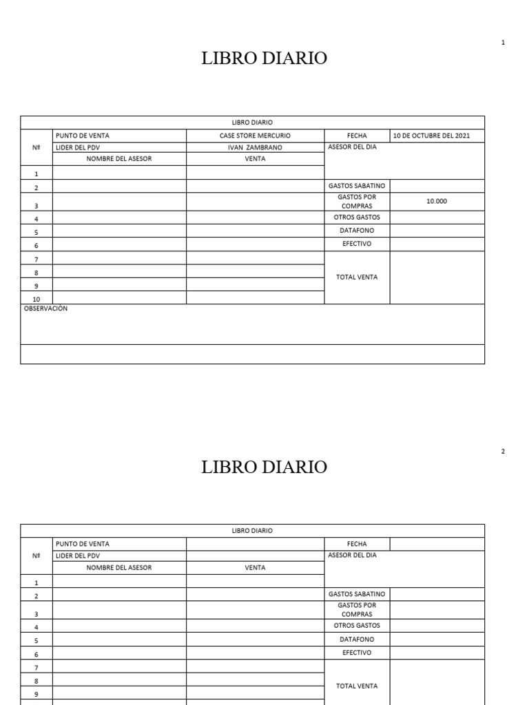 Formato Libro Diario 33 Cada Punto | PDF | Derecho