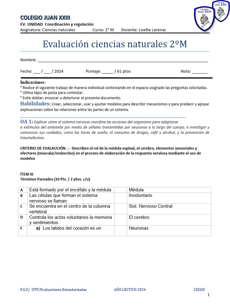 CPLC NM2 Ev (U1) | PDF | Sistema nervioso | Neurona