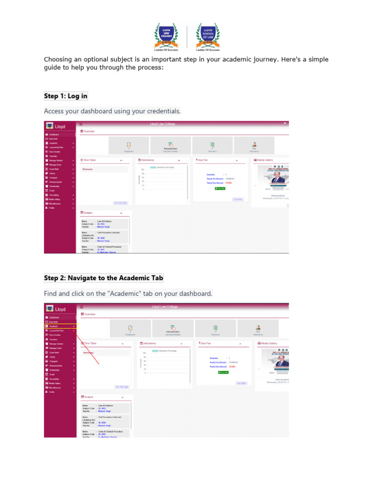 Selecting Optional Subjects Guide | PDF