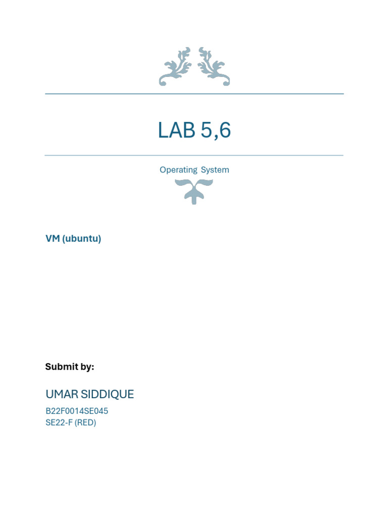 Lab 5,6 | PDF