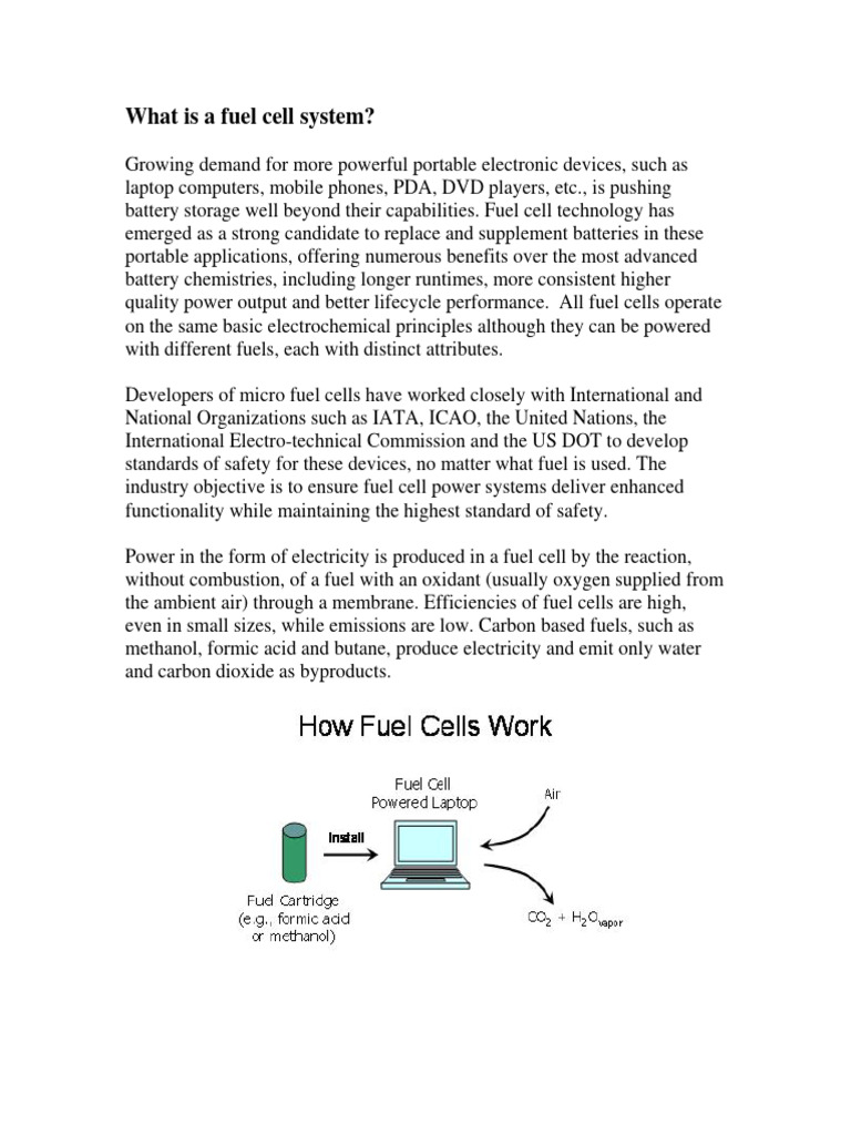 Guidance Document Fuel Cells | PDF | Fuel Cell | Fuels
