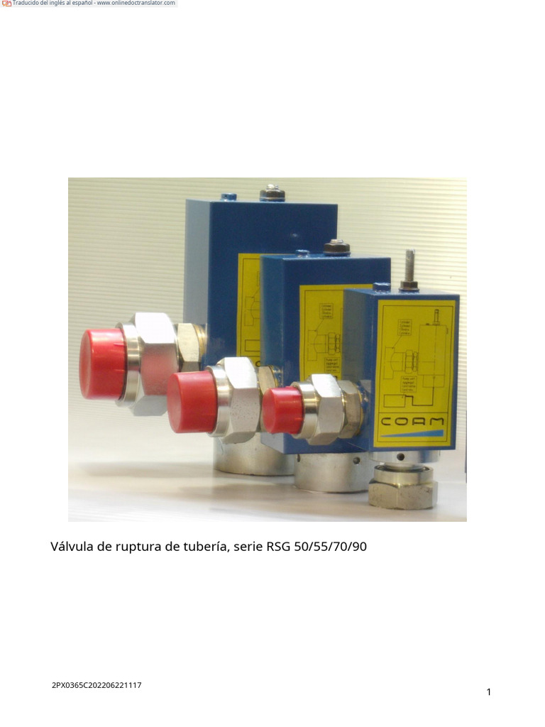 Pipe - Rupture - Valves - RSG - Installation - and - Maintenance (2 ...