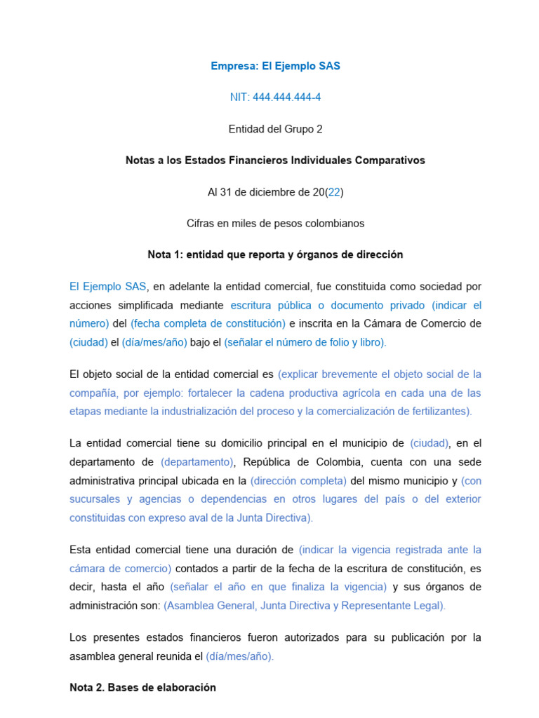 Modelo Notas A Los Estados Financieros | PDF | Contabilidad | Dividendo