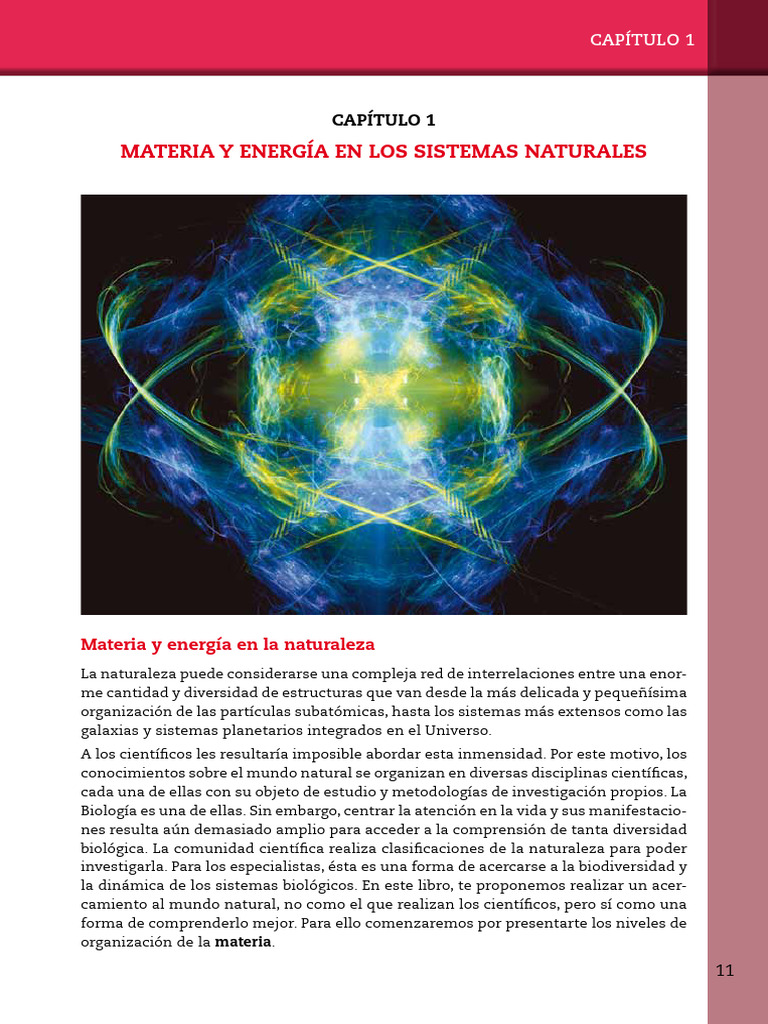 Materia y energía en sistemas naturales | PDF | Nutrientes | Organismos