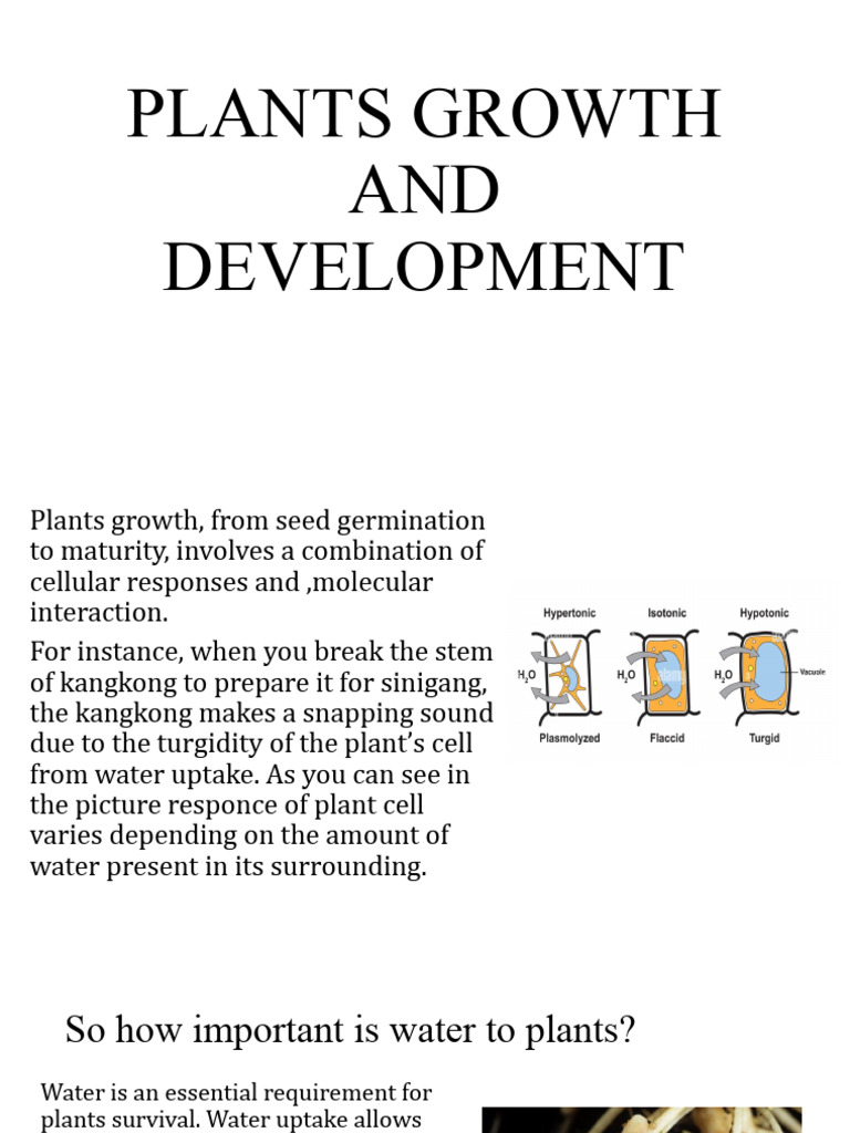 Plants Growth and Development | PDF | Plant Nutrition | Root