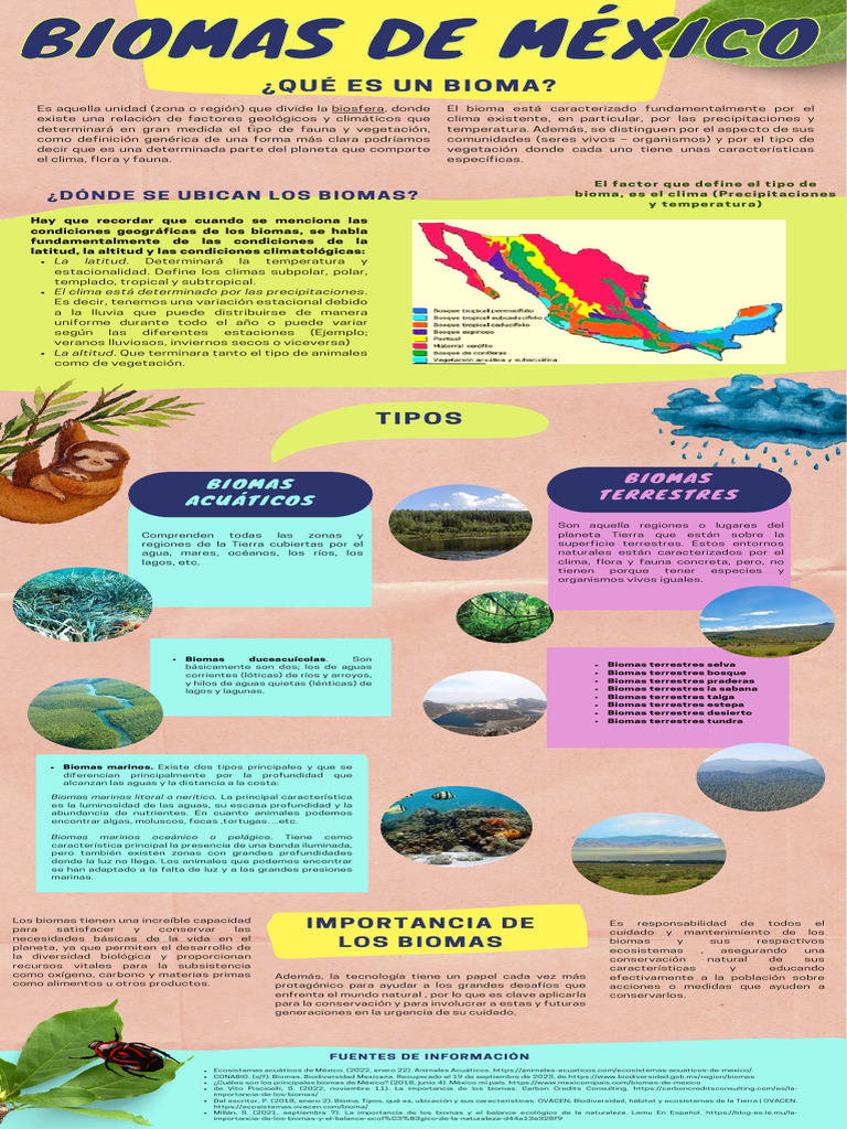 Infografia Biomas | PDF | Clima | Tierra