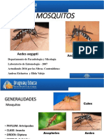 Ciclo Del Aedes Aegypti | PDF | Mosquito | Aedes aegypti