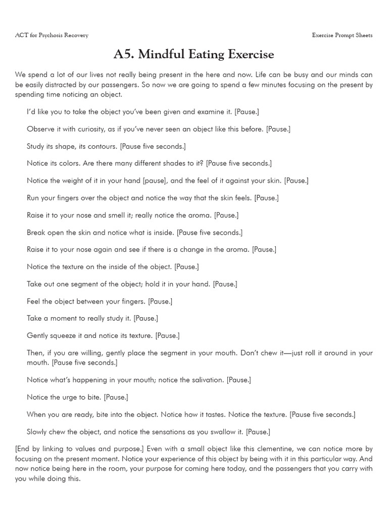 A5 Mindful Eating | PDF