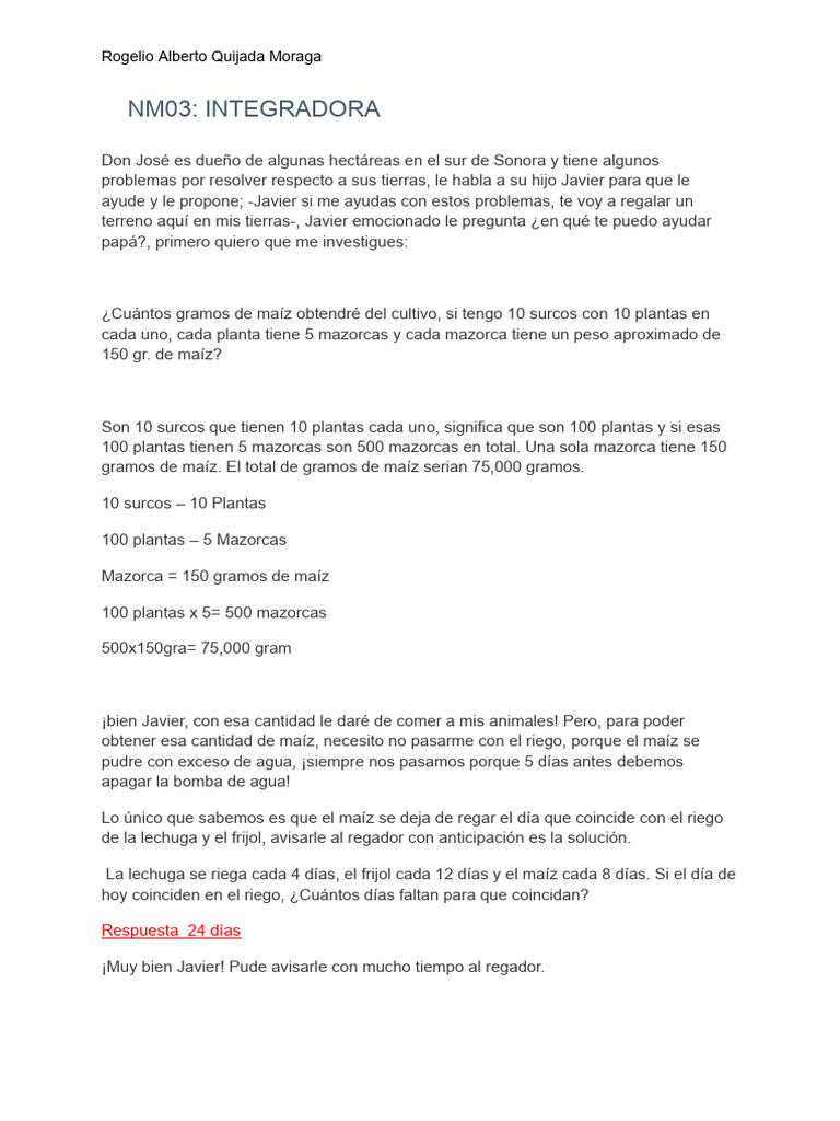 NM03 - Integradora | PDF